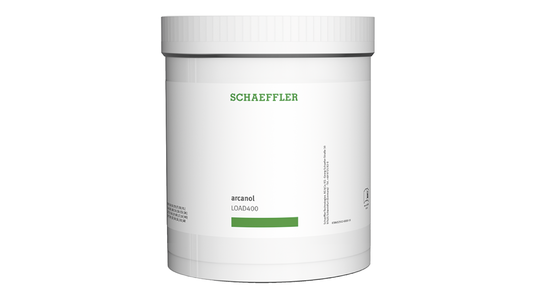 Arcanol LOAD400 Spezialfett für Hauptlager | 1 kg-Dose